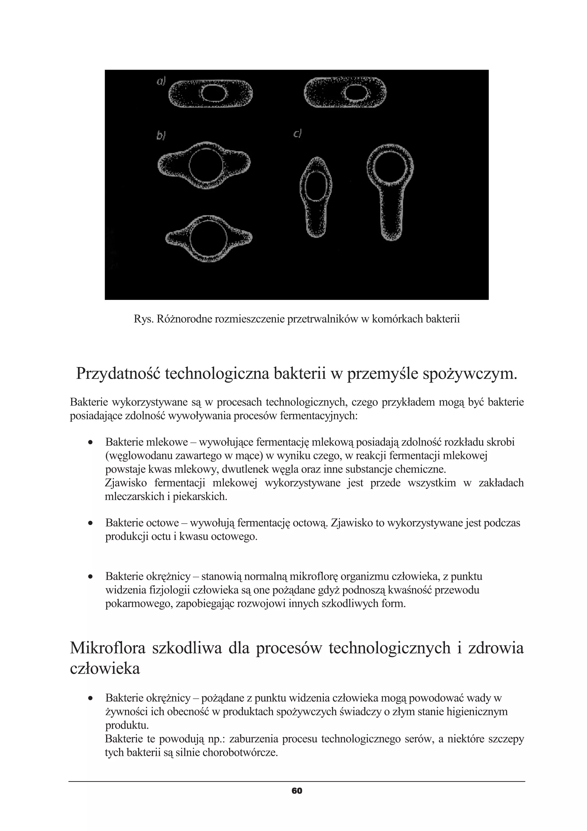 Podstawy mikrobiologii almanach_cukierniczo_piekarski | PDF