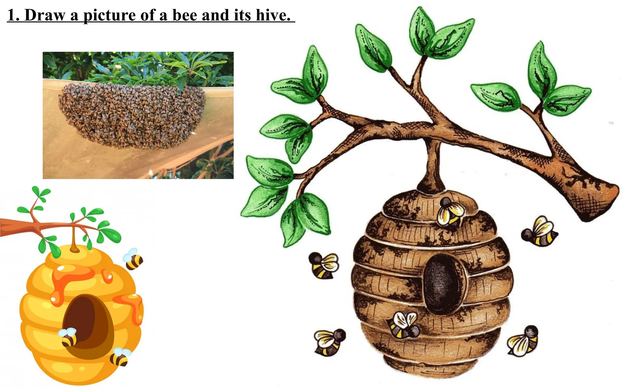 POEM - THE LITTLE BUSY BEE - Issac Watts.pptx