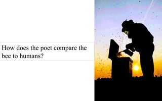 POEM - THE LITTLE BUSY BEE - Issac Watts.pptx