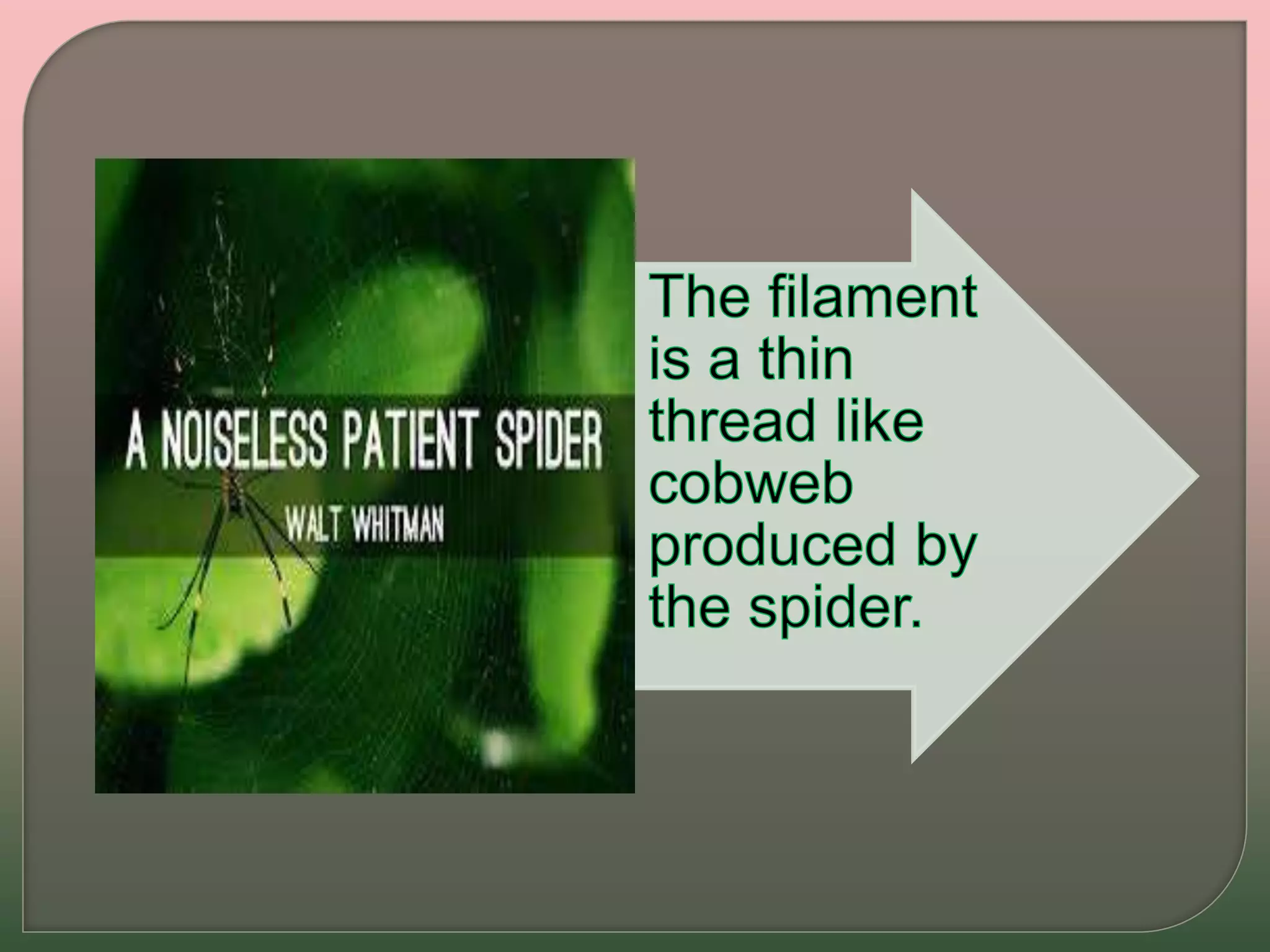 A NOISELESS PATIENT SPIDER | PPTX