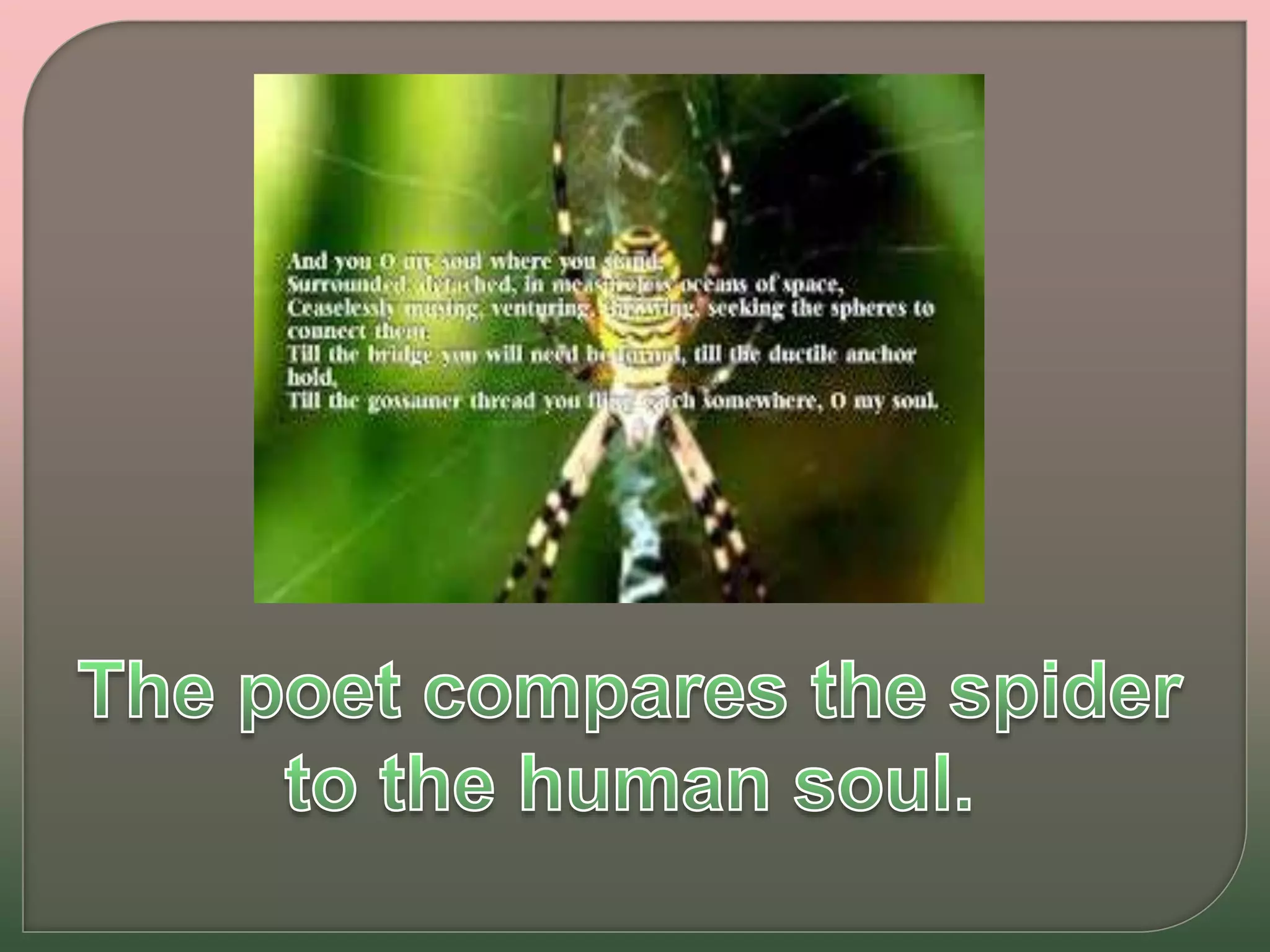 A NOISELESS PATIENT SPIDER | PPTX