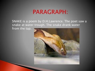 SNAKE - D.H.LAWRENCE | PPTX