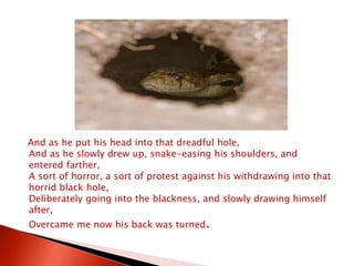 SNAKE - D.H.LAWRENCE | PPTX