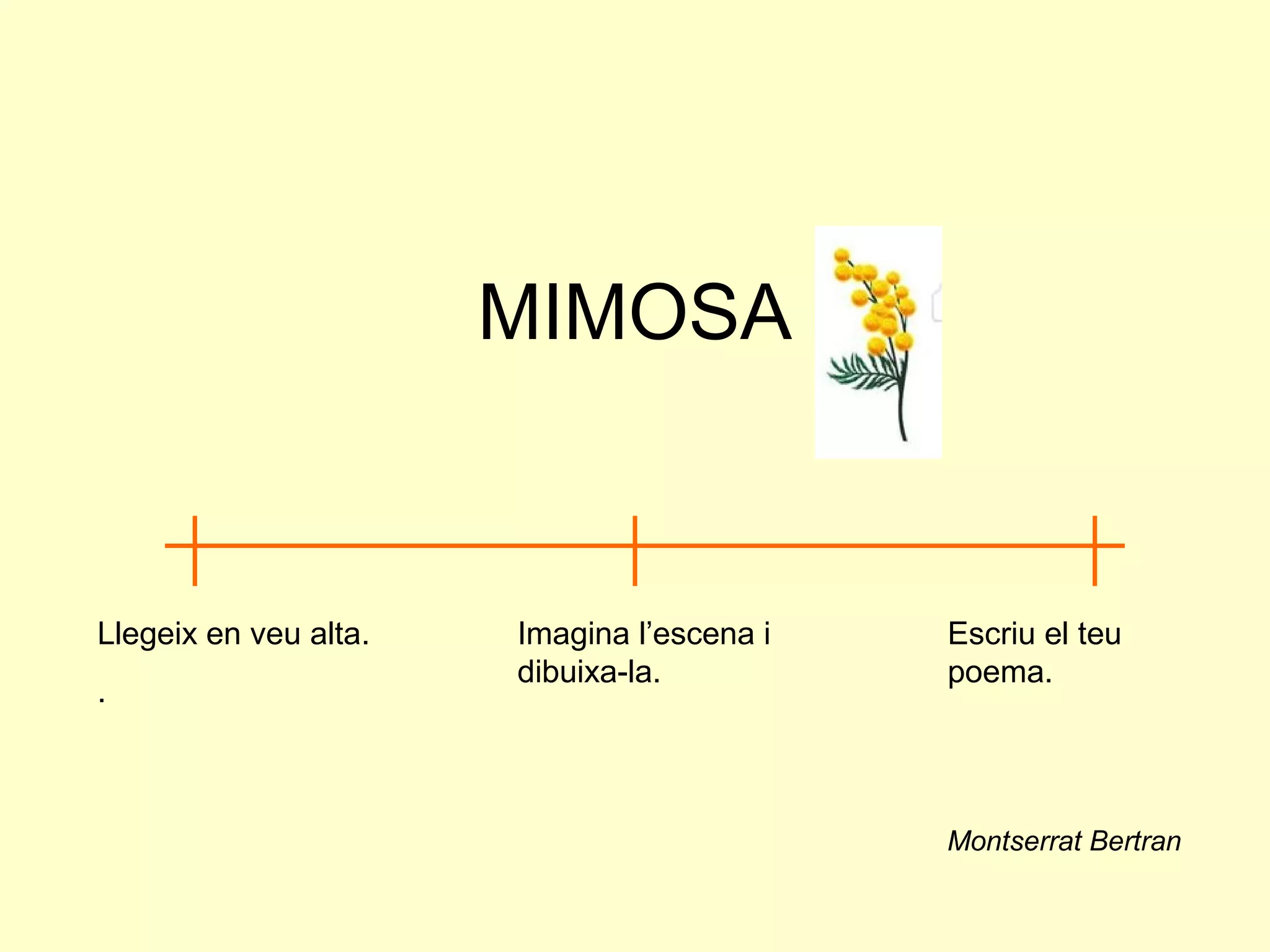 Poemes sobre la mimosa | PPT