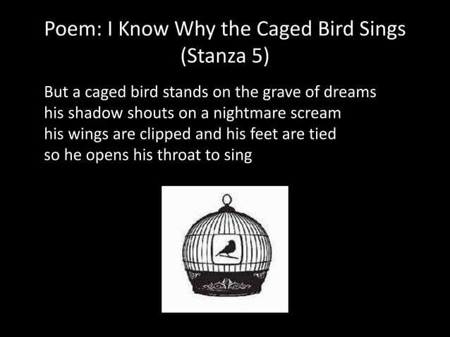 Poem I Know Why The Caged Bird Sings | PPTX | Poetry | Books and Literature