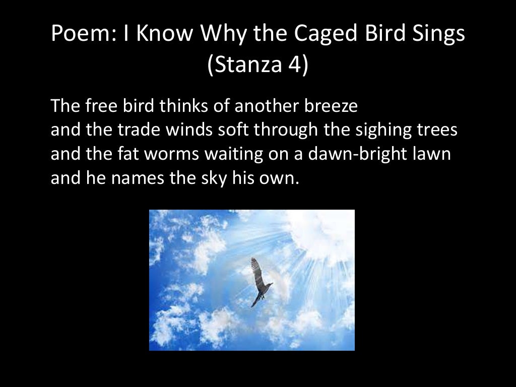 Poem I Know Why The Caged Bird Sings Poem I Know Why The Caged Bird Sings