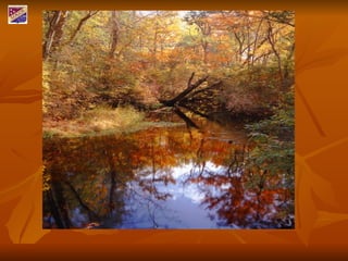 Poem Seasons Change | PPT