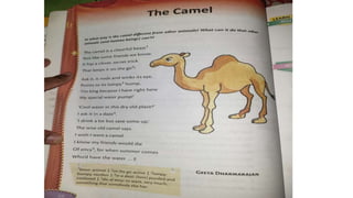 Poem the camel | PPTX