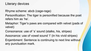A tiger in the zoo | PPTX