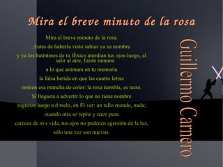 Poesia De Posguerra Y Novisimos | PPT