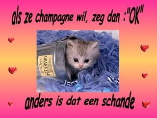 Poes versieren | PPS
