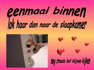 Poes versieren | PPS