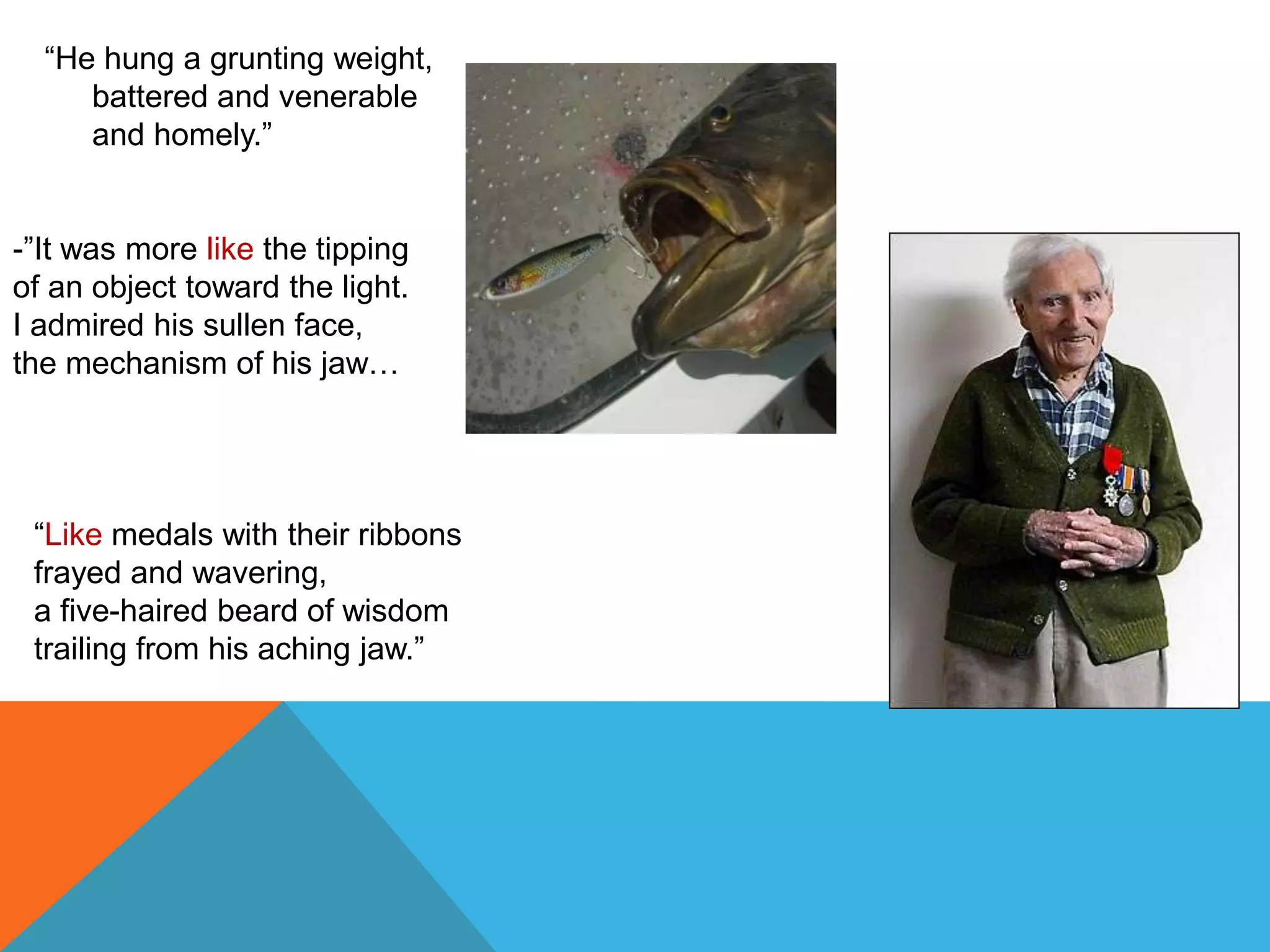 Poetic devices and the magic of elizabeth bishop2 | PPTX | Fish and ...