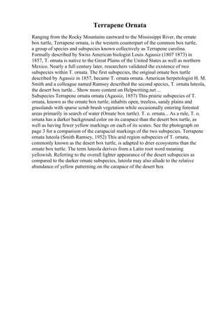 Poetic Essay Examples. Writing About Poetry Example | PDF