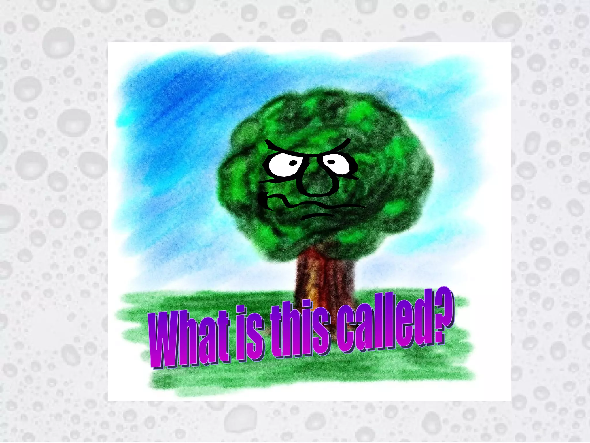 Poetic Terms Quick Review | PPT