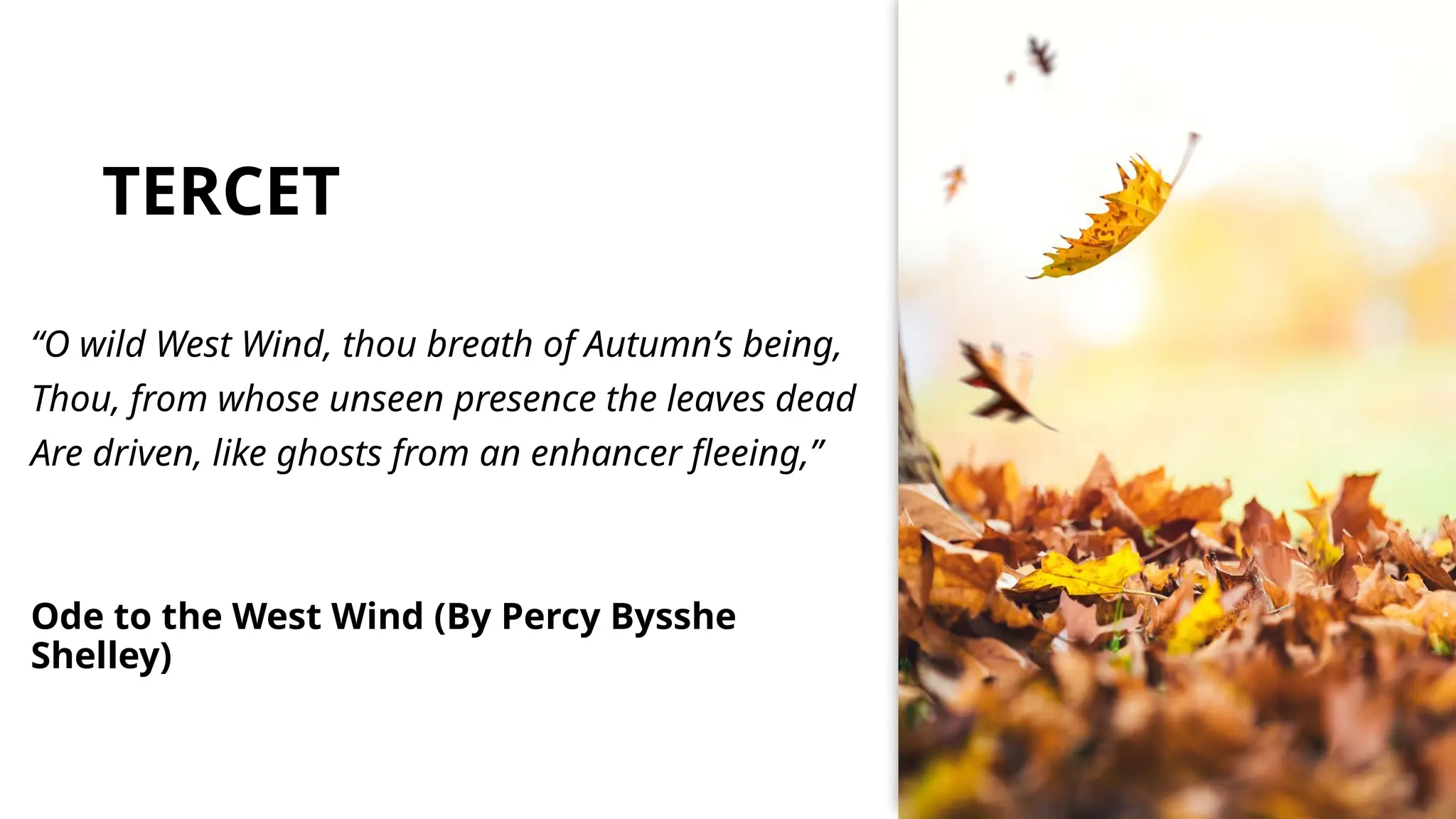 Poetry and Its Elements English 9 Quarter 2 | PPTX