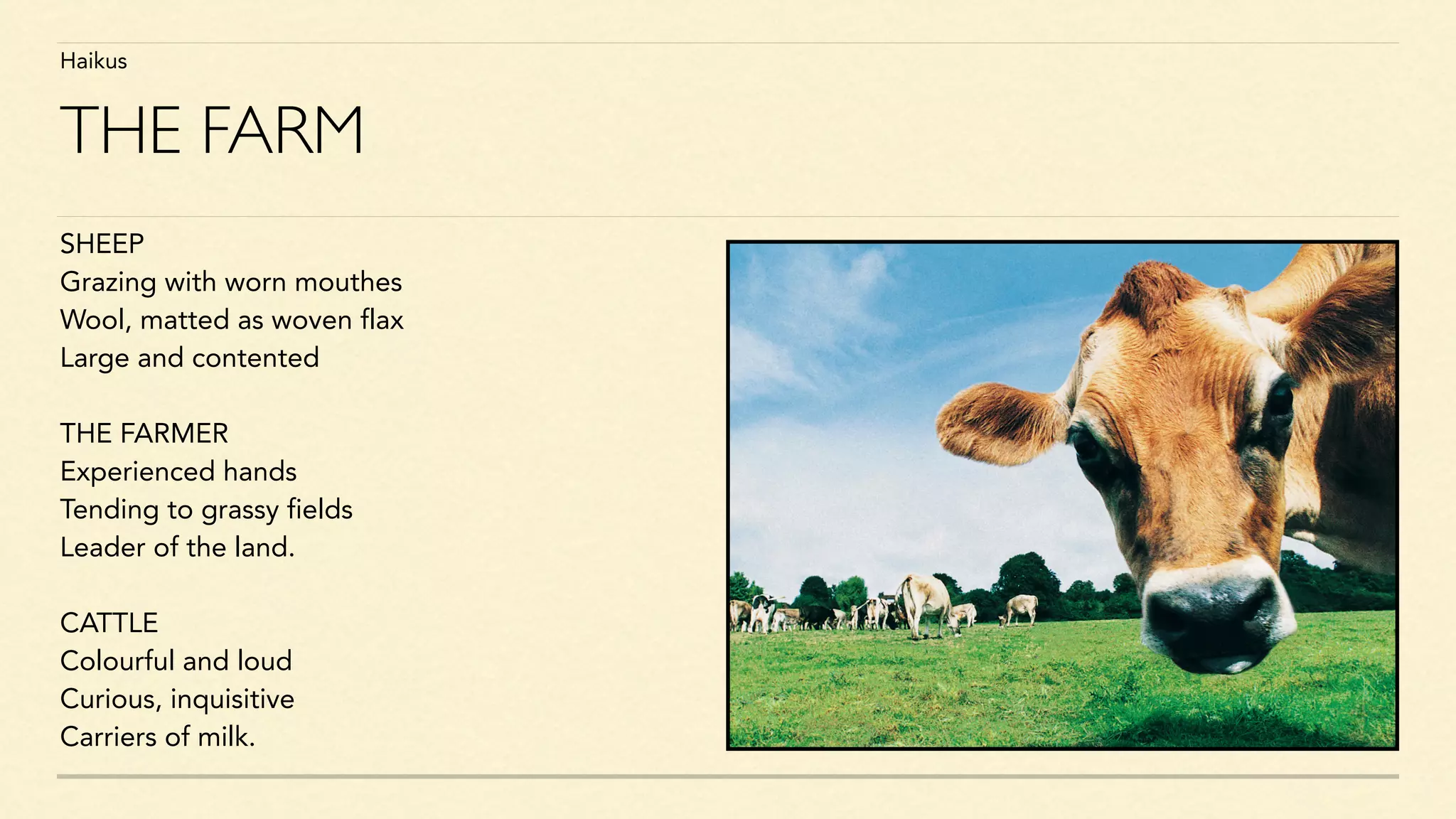 Poetry Anthology - Alex de Beer | PPT