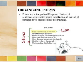 Poetry Collection | PPT