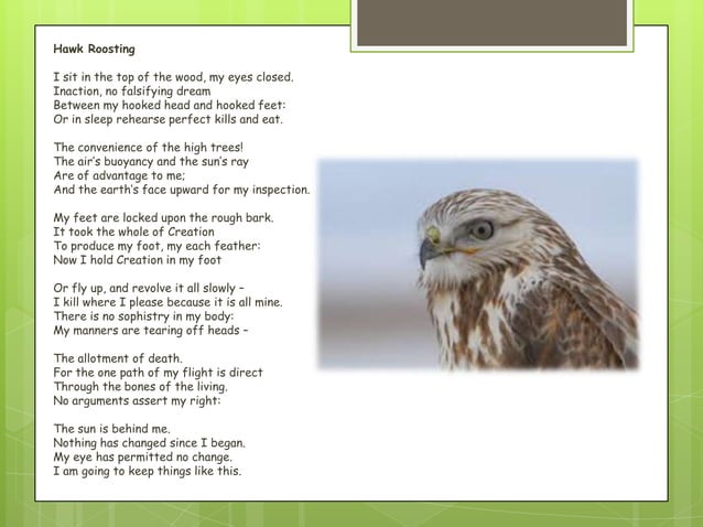 Hawk roosting | PPTX