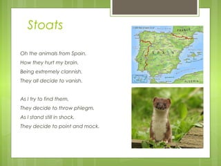 Poetry project | PPT