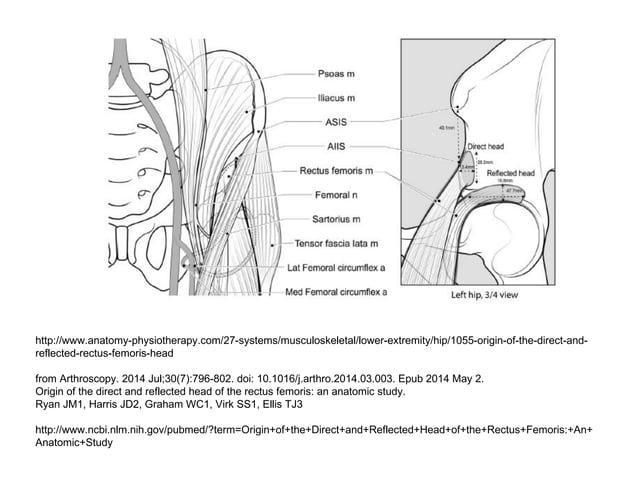 Pemberton's Osteotomy for Acetabular Dysplasia | PDF