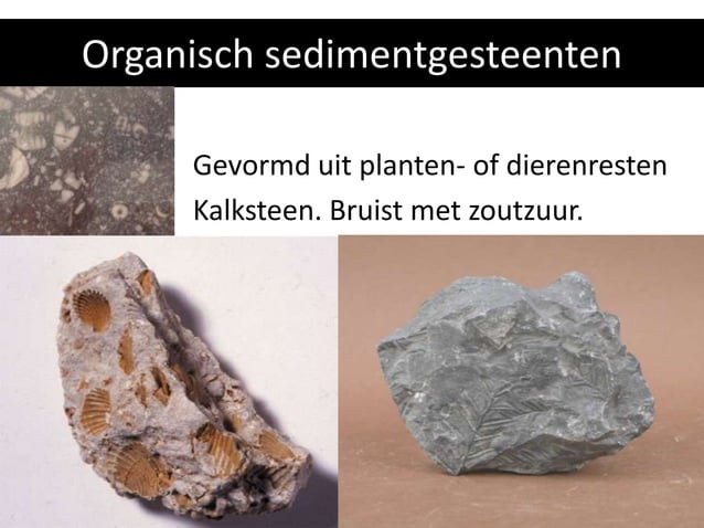 PO gesteenten herkennen | PPT