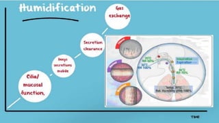 Tracheostomy and humidification | PPT