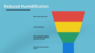 Tracheostomy and humidification | PPT