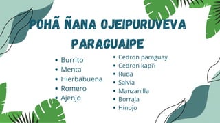 pohã ñana.pdf
