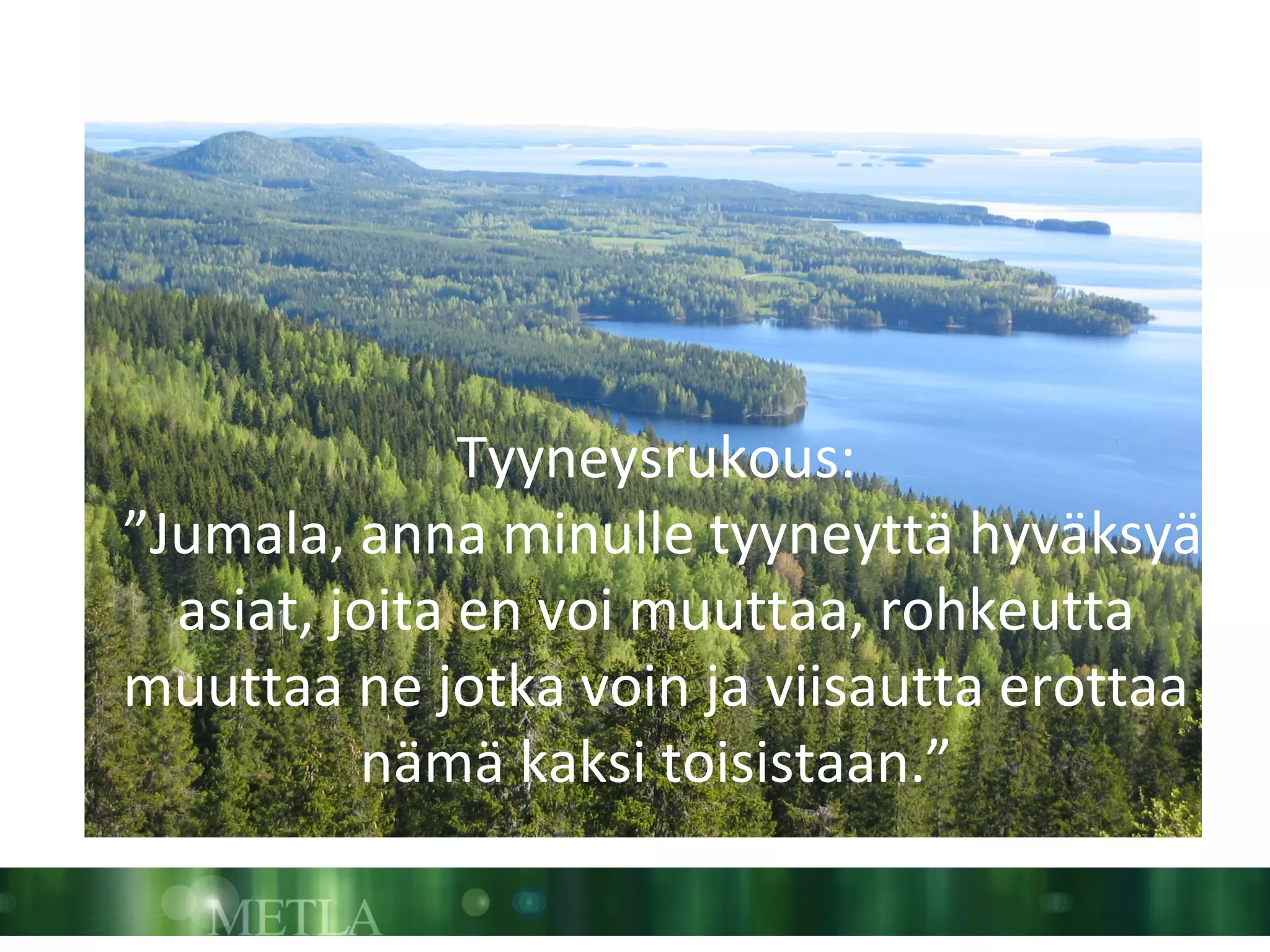 Pohjois-Karjalan biotalousfoorumi, Tuula Packalen | PPT