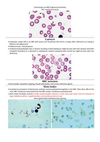 Poikilocytes2 عبد الامير عملي | DOCX