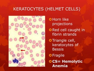Helmet Cells Vs Bite Cells
