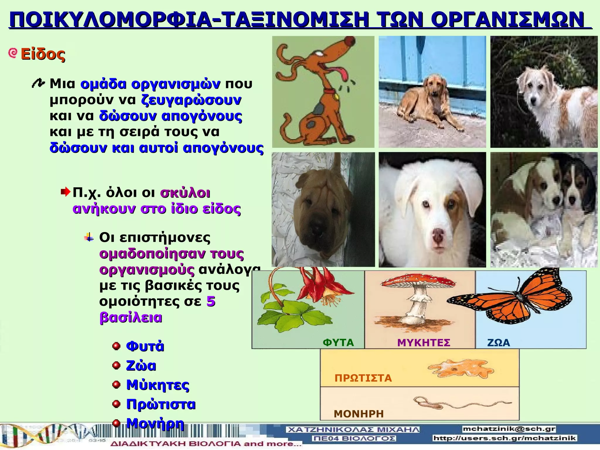 Poikilomorfiakaitaxinomisitonorganismon | PPT