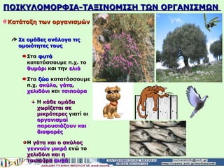 Poikilomorfiakaitaxinomisitonorganismon | PPT