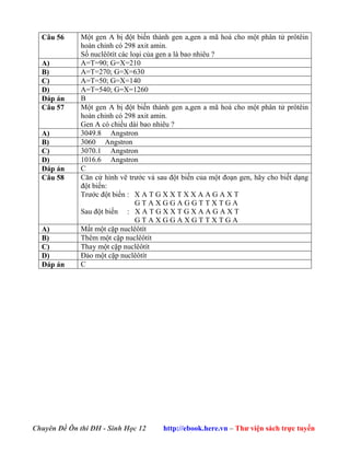 độT biến gen | PDF