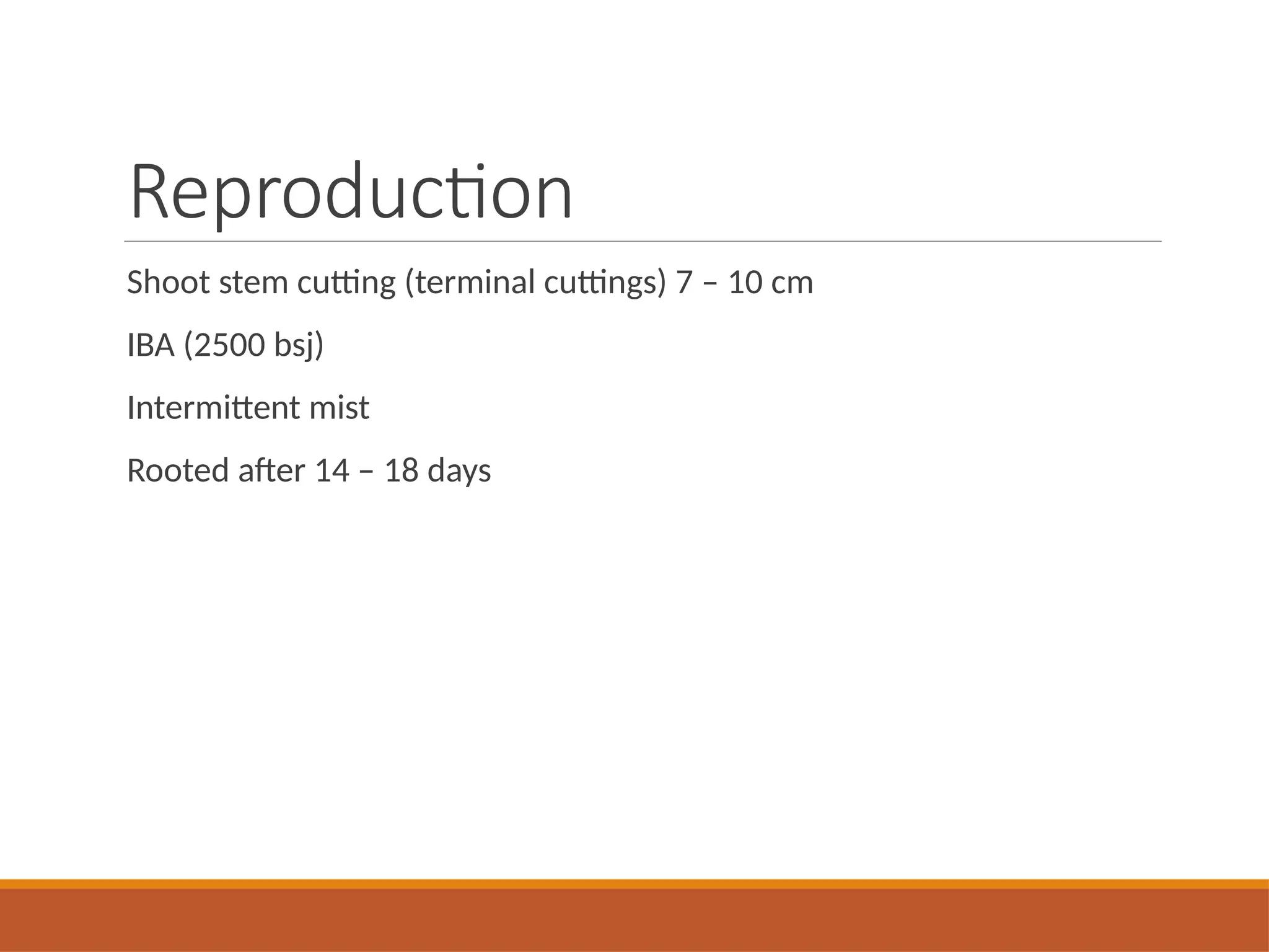 CIRI-CIRI BUNGA POINSETTIA AGRICULTURE.pptx