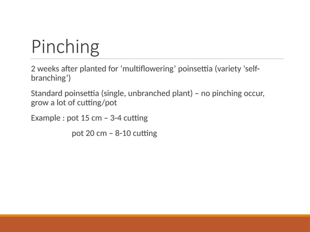 CIRI-CIRI BUNGA POINSETTIA AGRICULTURE.pptx