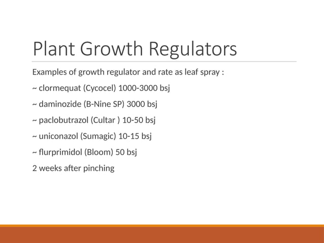 CIRI-CIRI BUNGA POINSETTIA AGRICULTURE.pptx