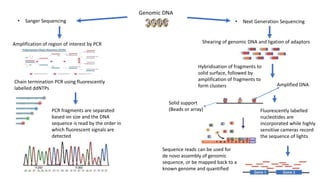 point 3 comparision of sanger and NGS.pptx