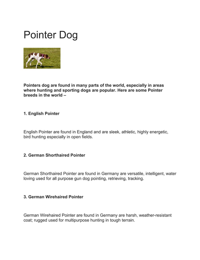 Pointer DogPointers dog are found in many parts of the world ...