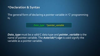 Presentation on pointer. | PPTX