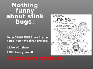 Pointe stink bugs | PPT