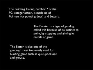 Pointinggroupandsighthound | PPT