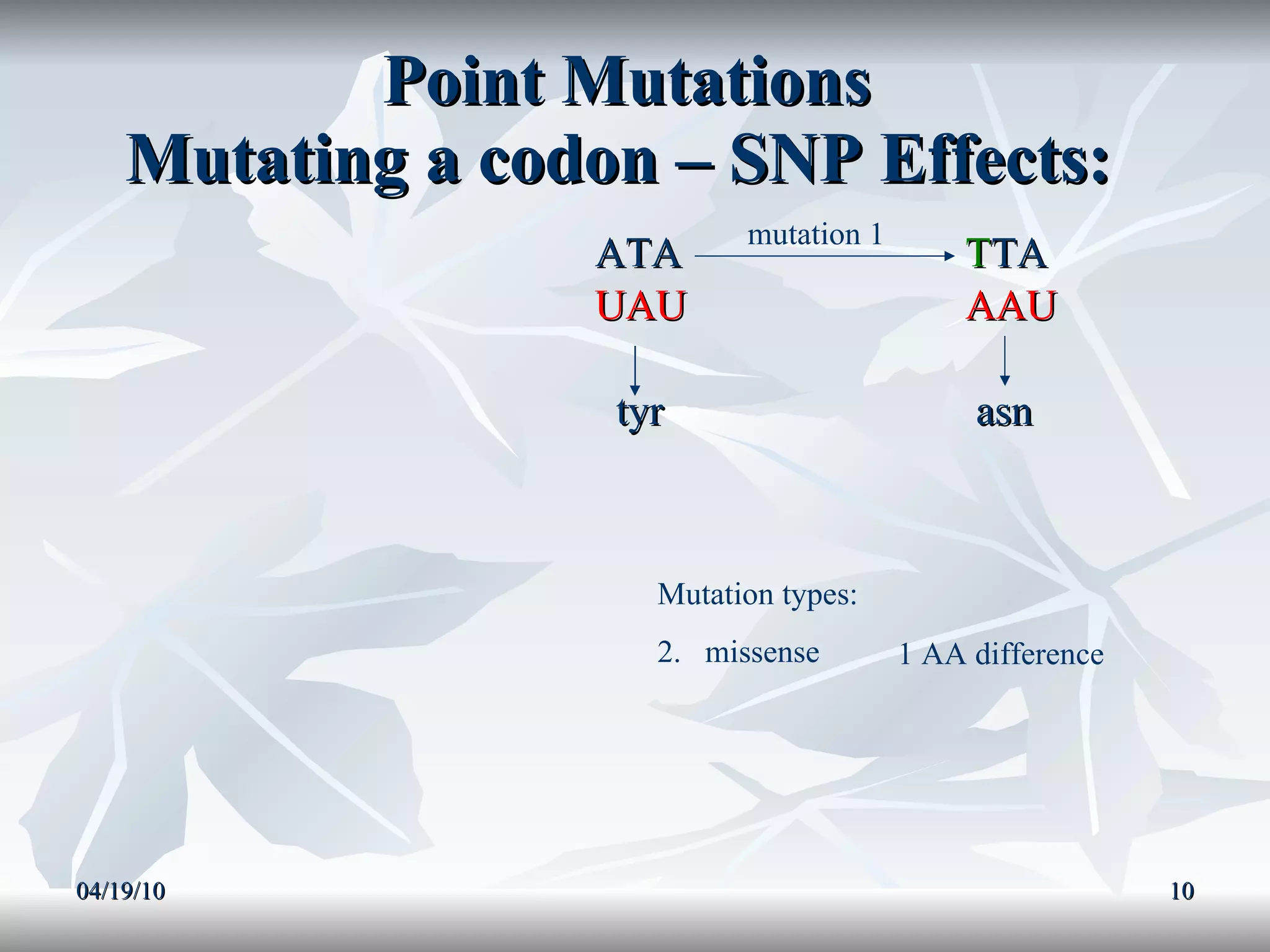 Point mutations ppt | PPT