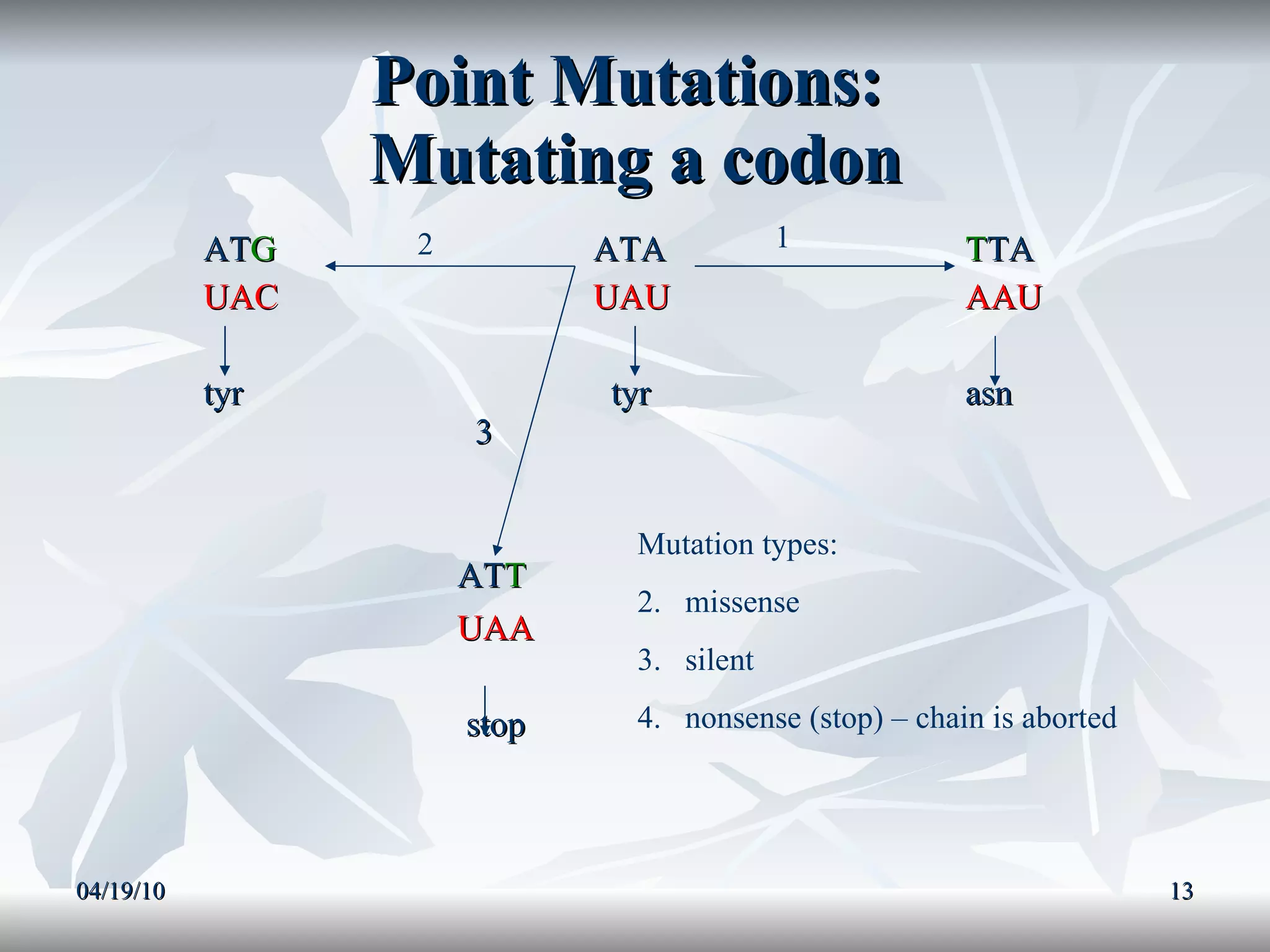 Point mutations ppt | PPT