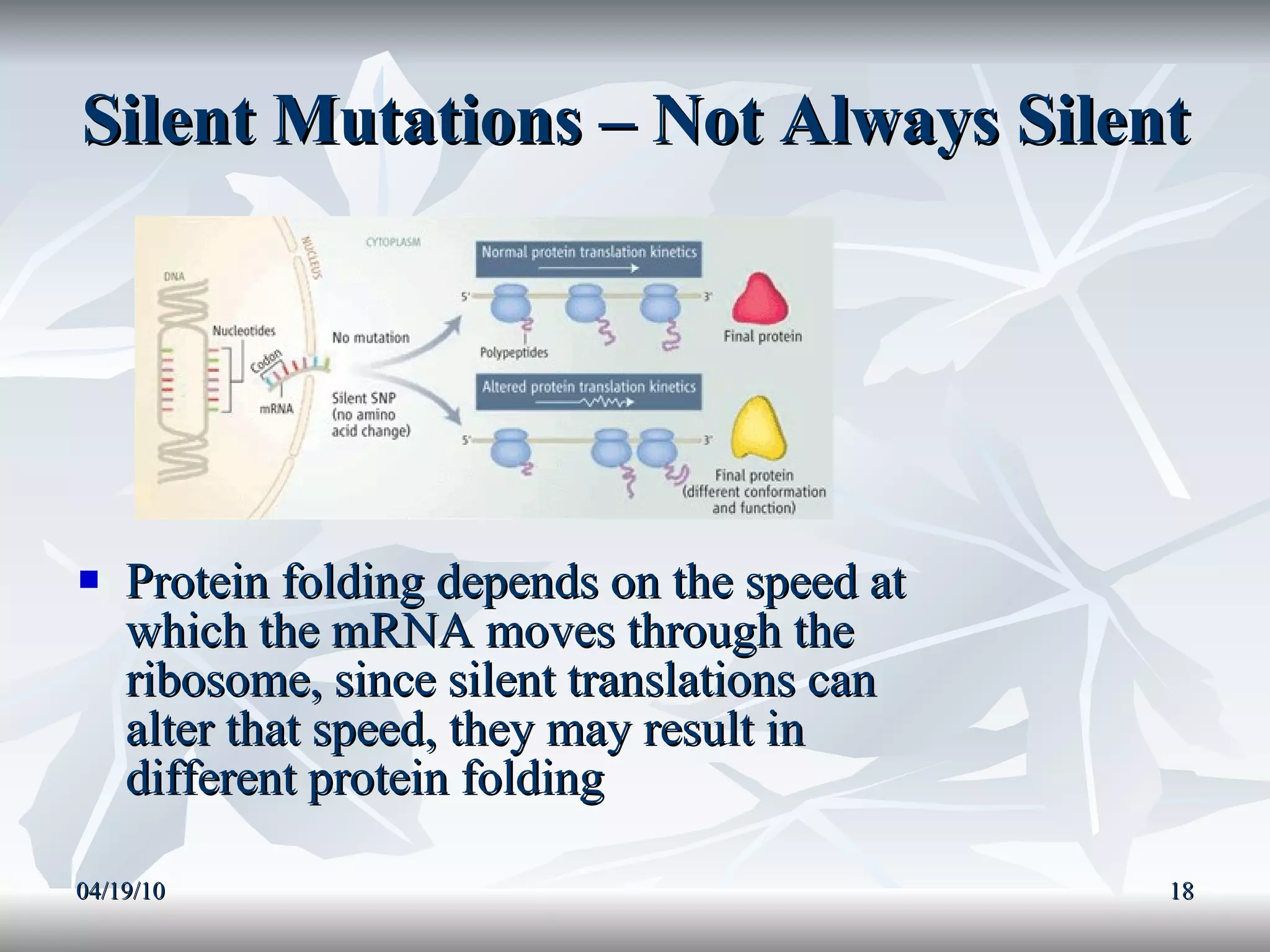 Point mutations ppt | PPT