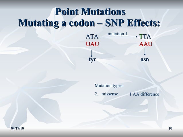 Point mutations ppt | PPT
