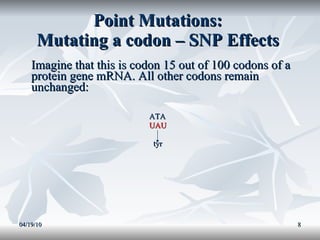Point mutations ppt | PPT