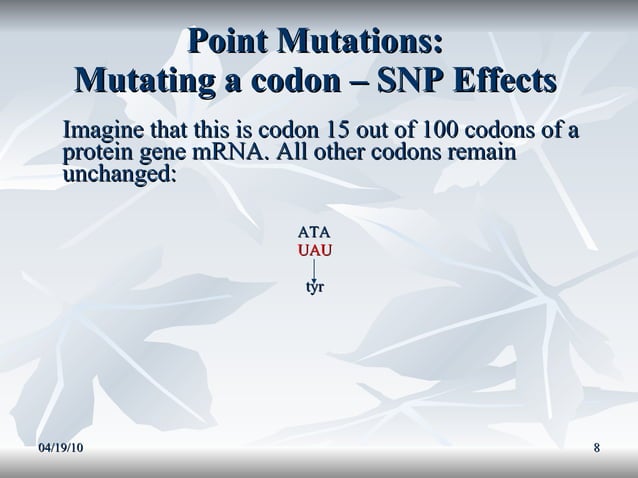 Point mutations ppt | PPT