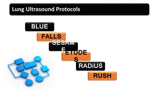 Point of Care Lung Ultrasound | PPTX | Lung and Respiratory Health ...